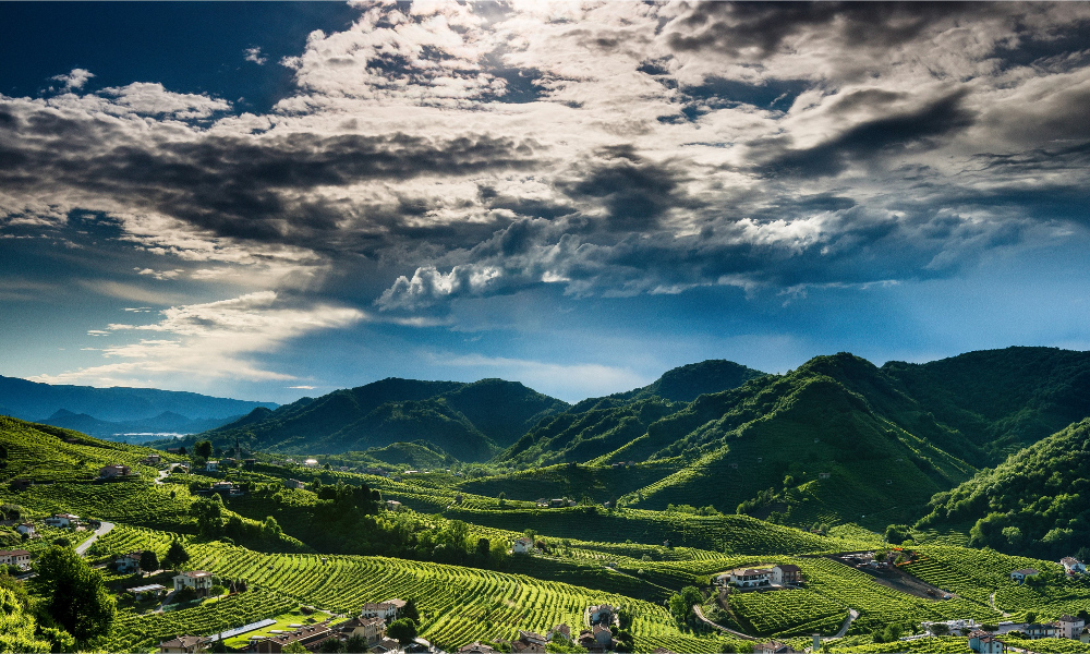 Le Colture Prosecco Superiore DOCG: beauty and elegance from the hills ...